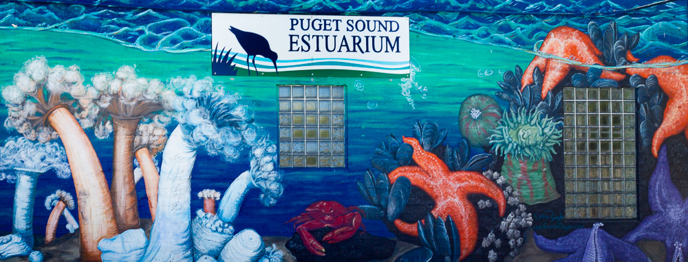 Estuarium Free Admission Day - Puget Sound Estuarium